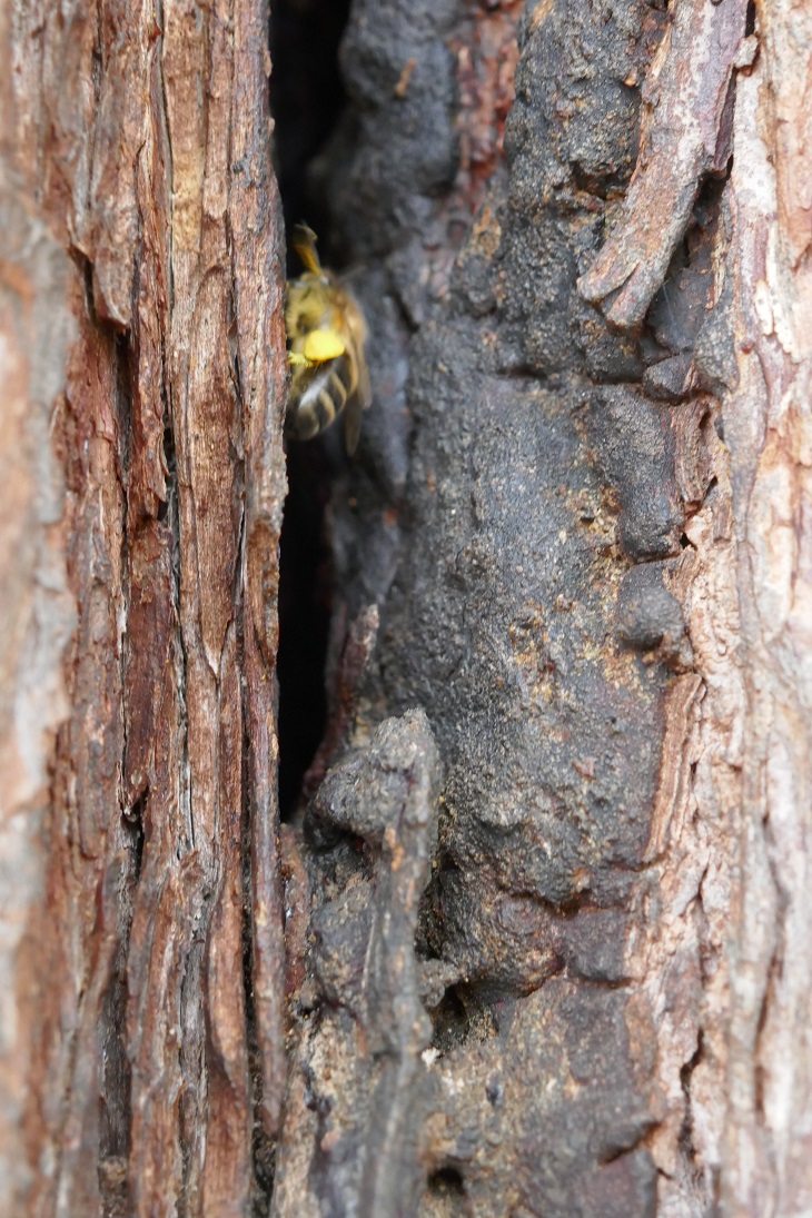 The Winter Cluster & The Insulation Question.
