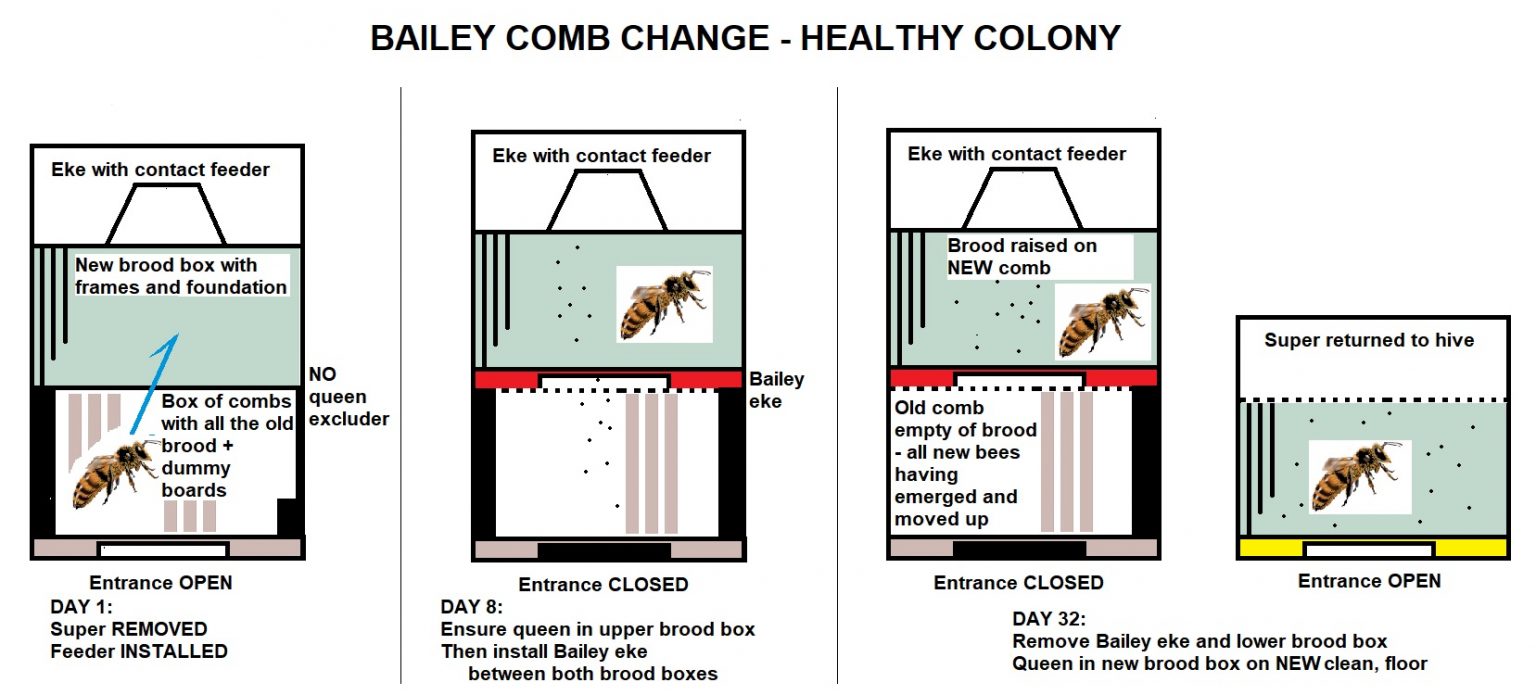 The Bailey Comb Change.