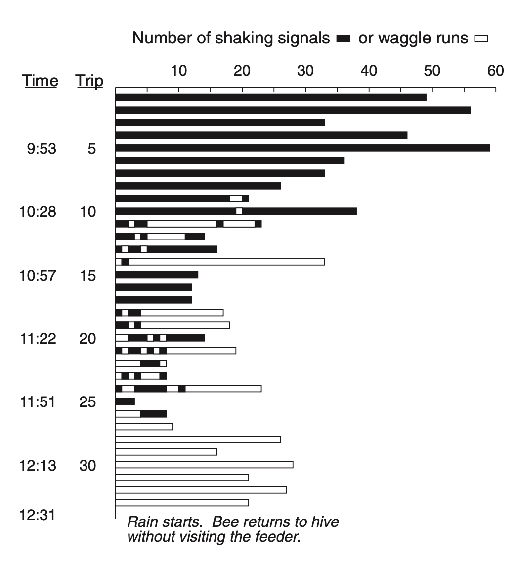 The Shaking Signal & What it Means: Professor Tom Seeley Investigates.