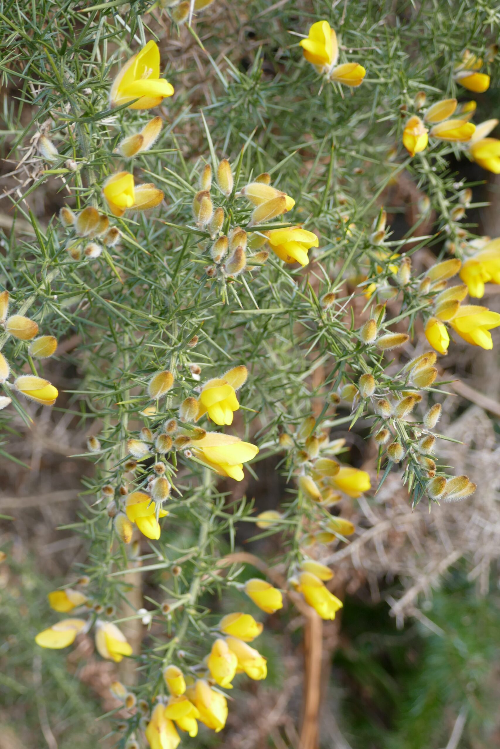 Reviewing The Season & Plant Profiles.